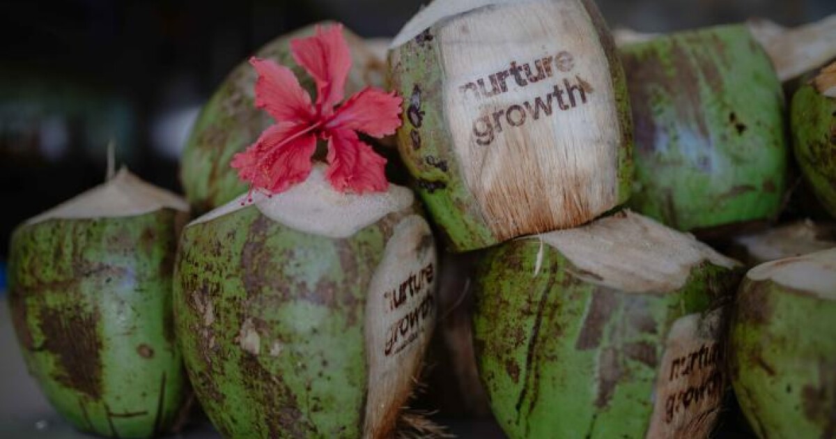 Nurture Change 2024: K3 Legal Sponsors Another Year of Transformation - K3